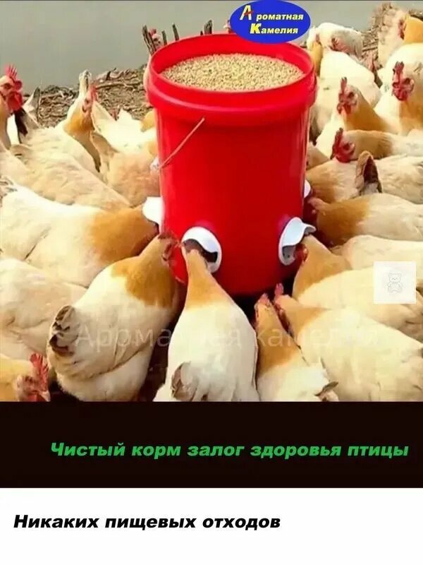 Кормушка для кур цыплят бройлеров перепелов уток гусей индеек птиц автоматическая 2 шт