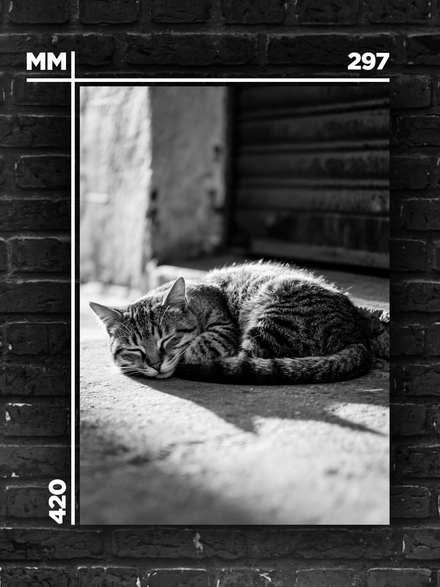 Постер Котики, Эстетика — фото 1