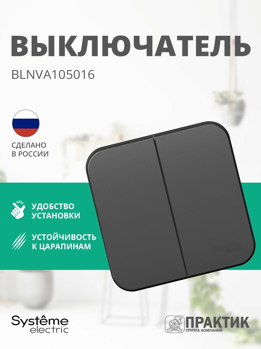 Выключатель двухклавишный Blanca Systeme Electric открытый монтаж Антрацит BLNVA105016