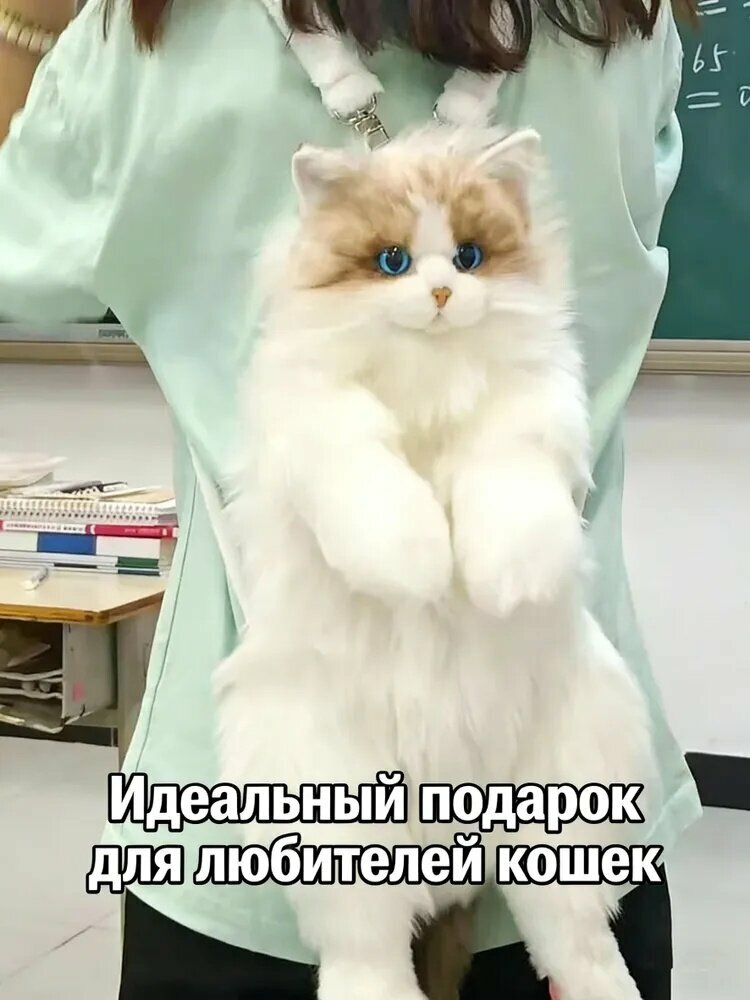 Реалистичная мягкая игрушка рэгдолл, Кукольный кот, Персидская кошка, рюкзак для куклы, сумка