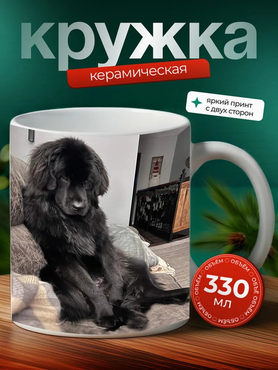 Кружка Ньюфаундленд 31,