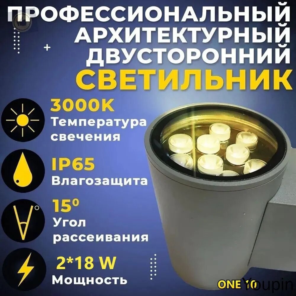 Уличный светильник, количество ламп:2шт