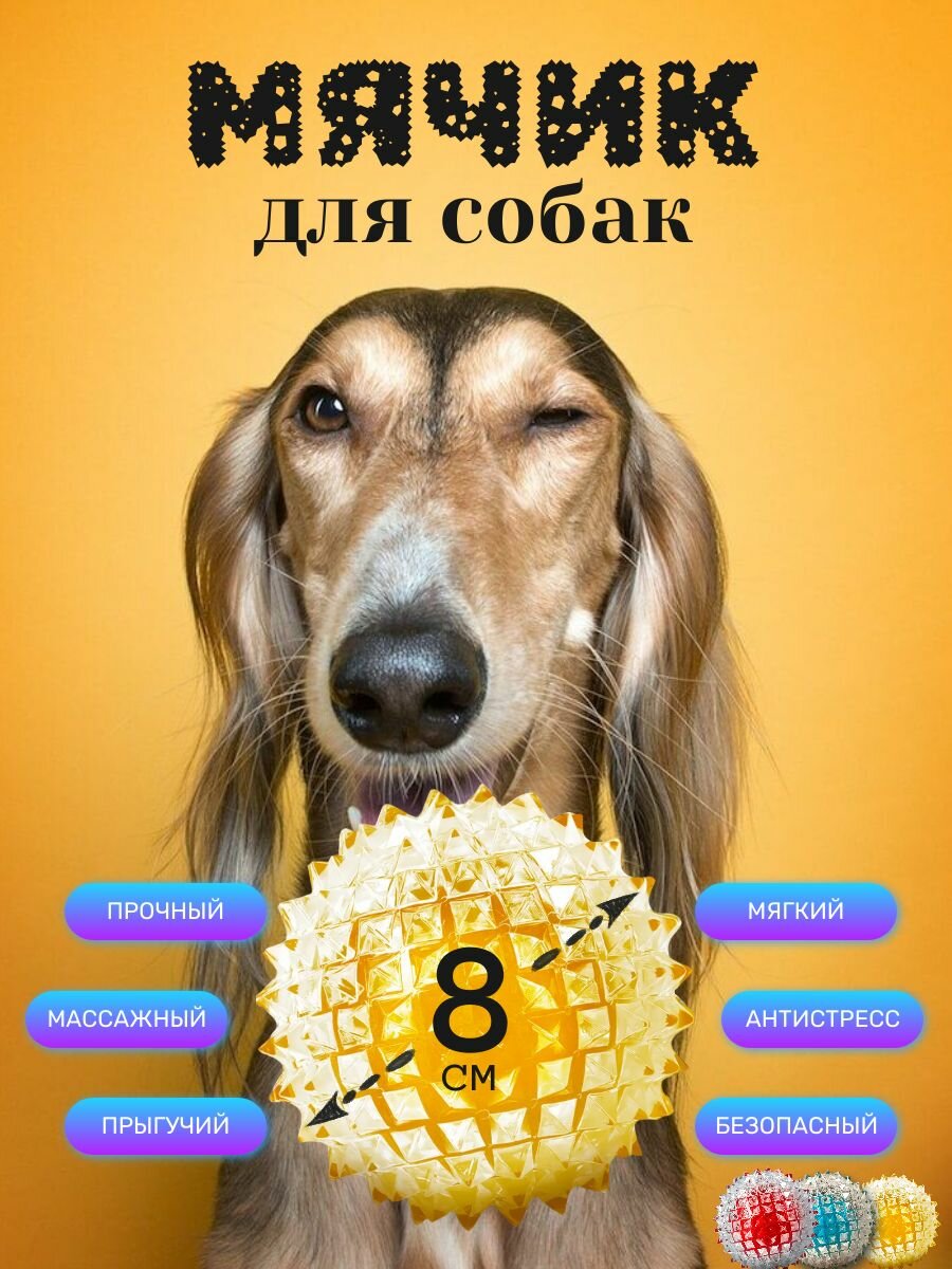 Мяч для собак