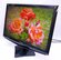 Монитор 19" Viewsonic VA1948M-LED
