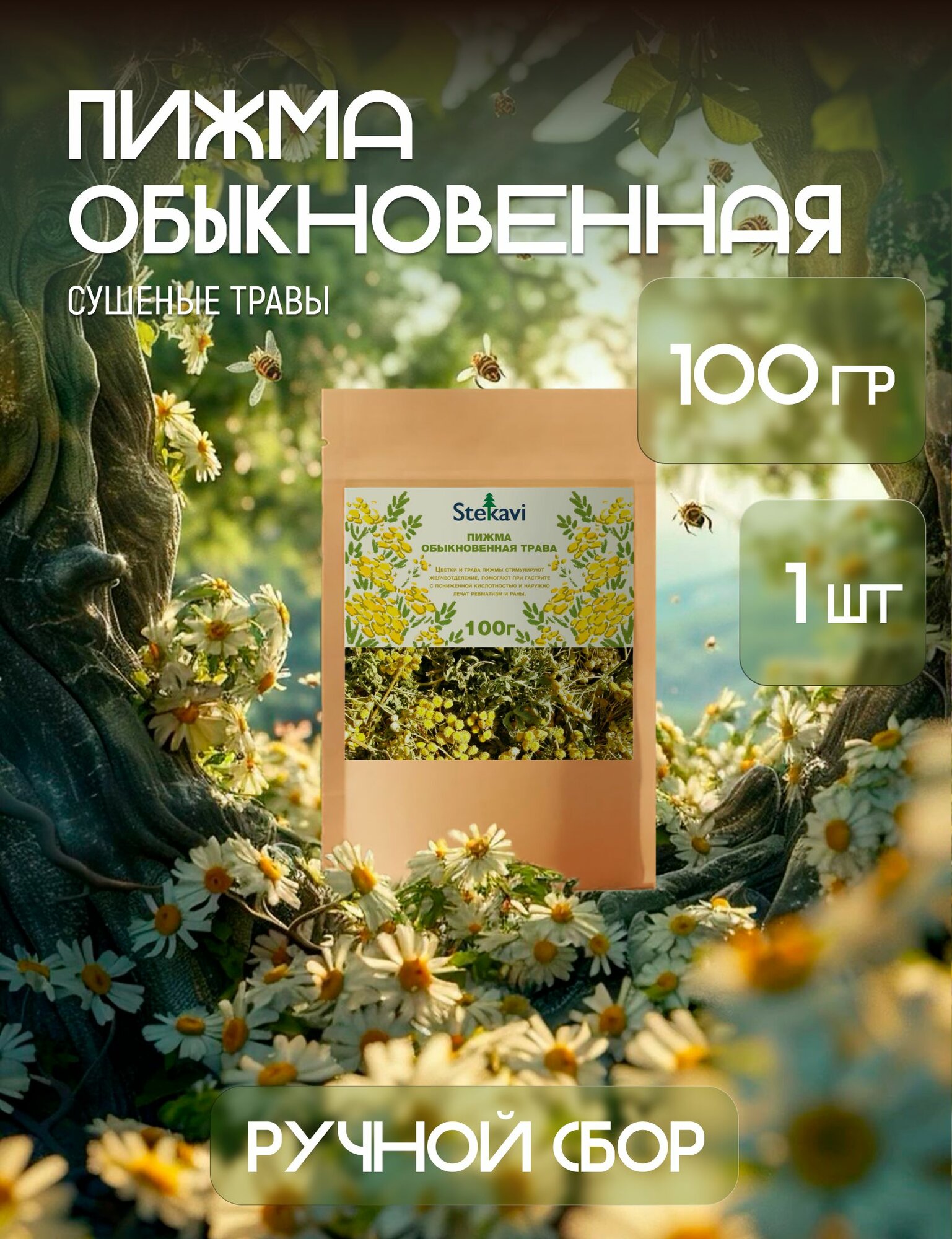 Пижма обыкновенная трава. Травы сушеные