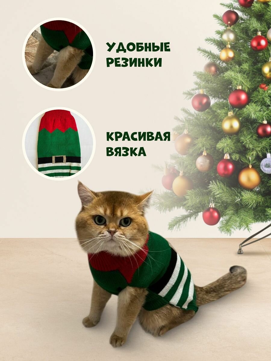 Одежда для животных — фото 1