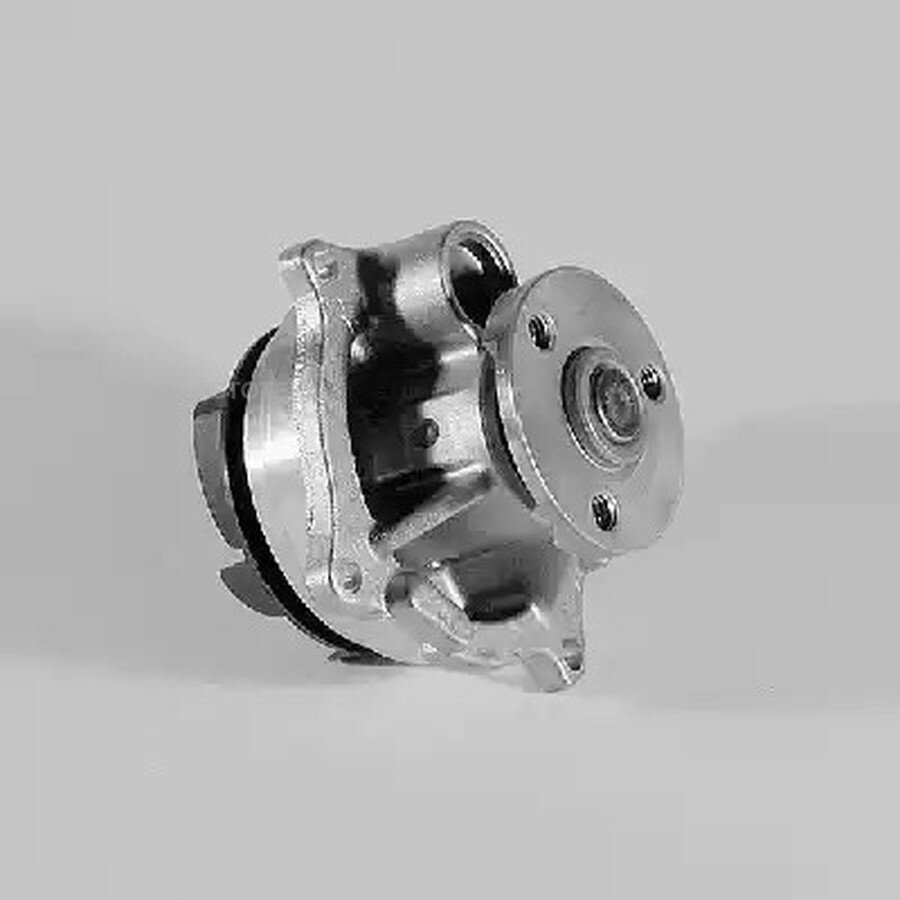 Насос водяной HEPU P236