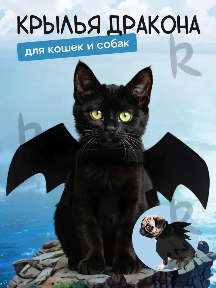 Крылья Дракона для кошек и собак Карнавальный костюм для животных, черный цвет, фетр