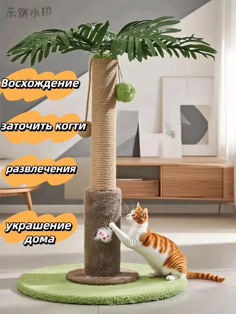 Когтеточка — фото 1