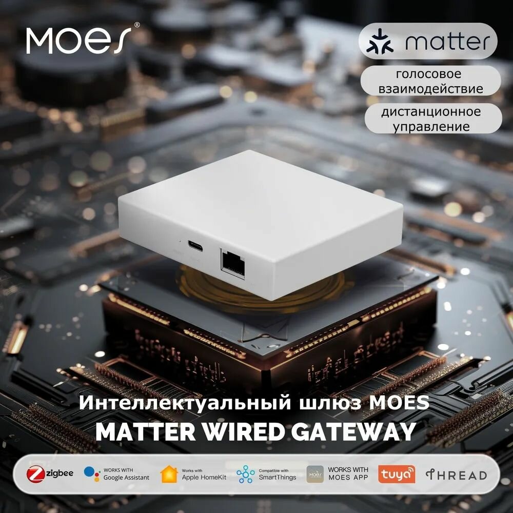 Интеллектуальный шлюз (многопротокольный Matter/ZigBee , дистанционное управление)