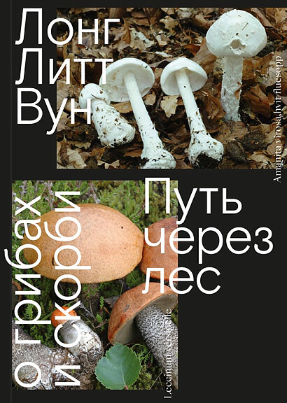 Путь через лес. О грибах и скорби. 18+