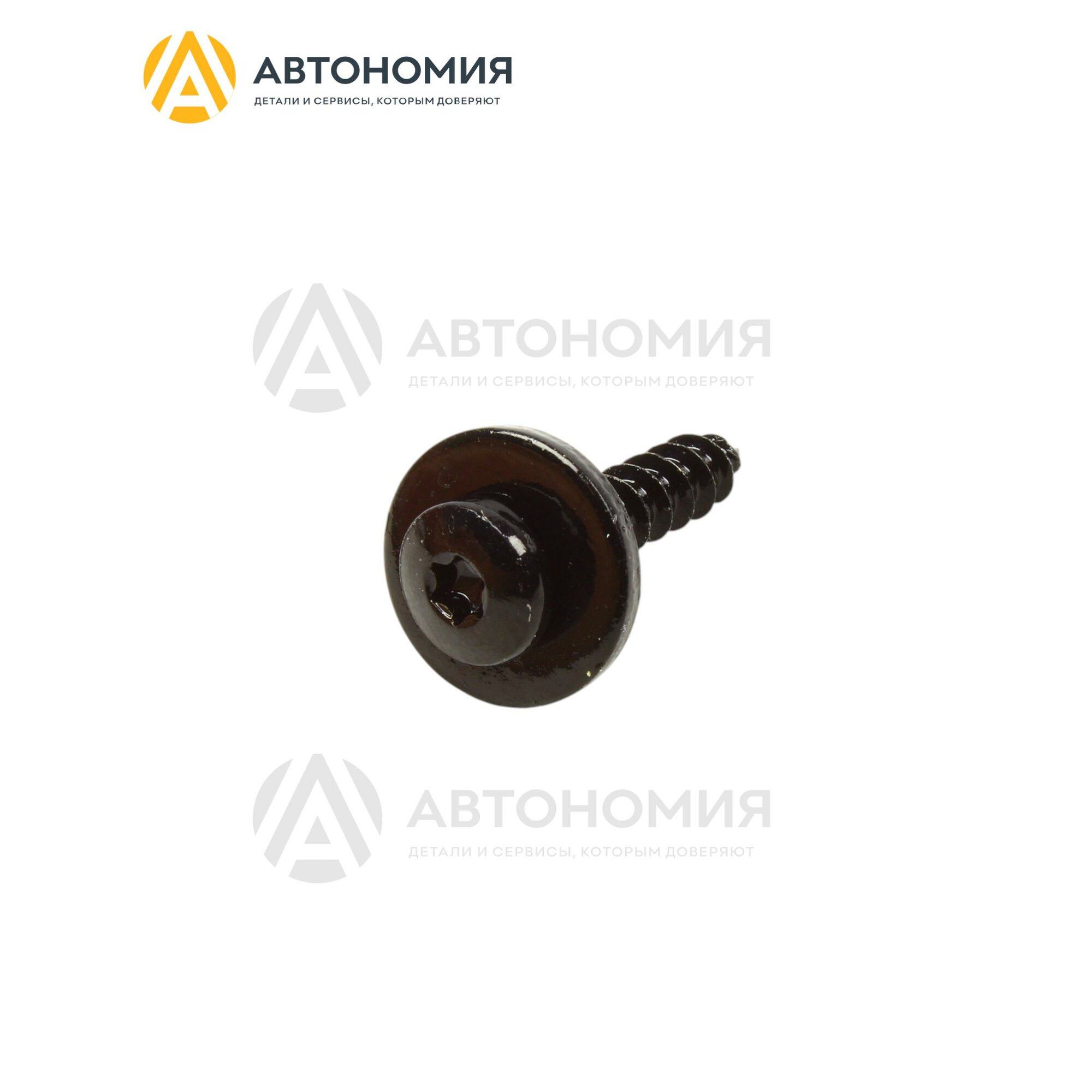 Винт крепления подкрылка M8 Renault 77 03 017 090