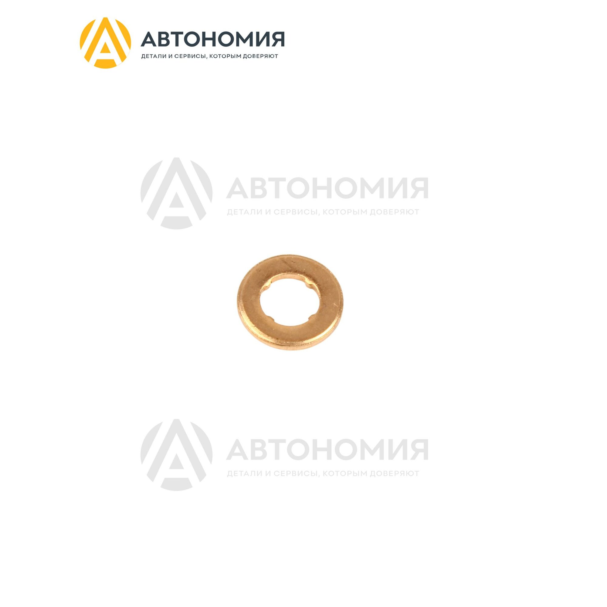 Прокладка топливной форсунки County 18- Hyundai/KIA 33830-52000