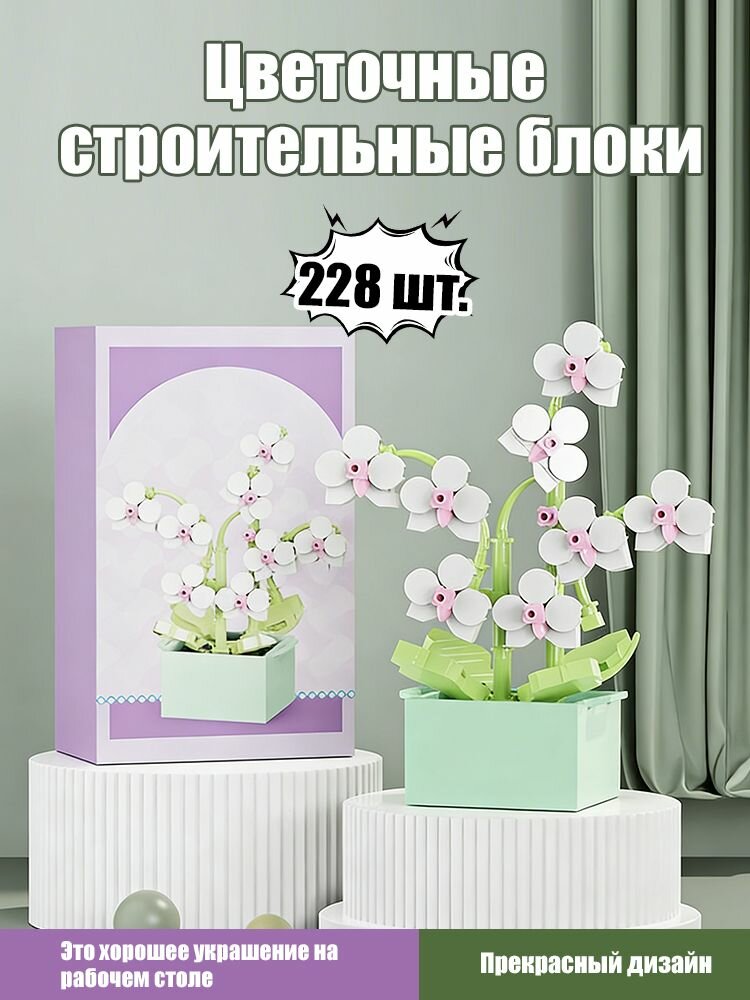 CTpOMTenbHbIe 6nOKM, COBMeCTMMbIe, 6 neT + AeTcKMe MrpyKMСтроительные блоки фаленопсиса