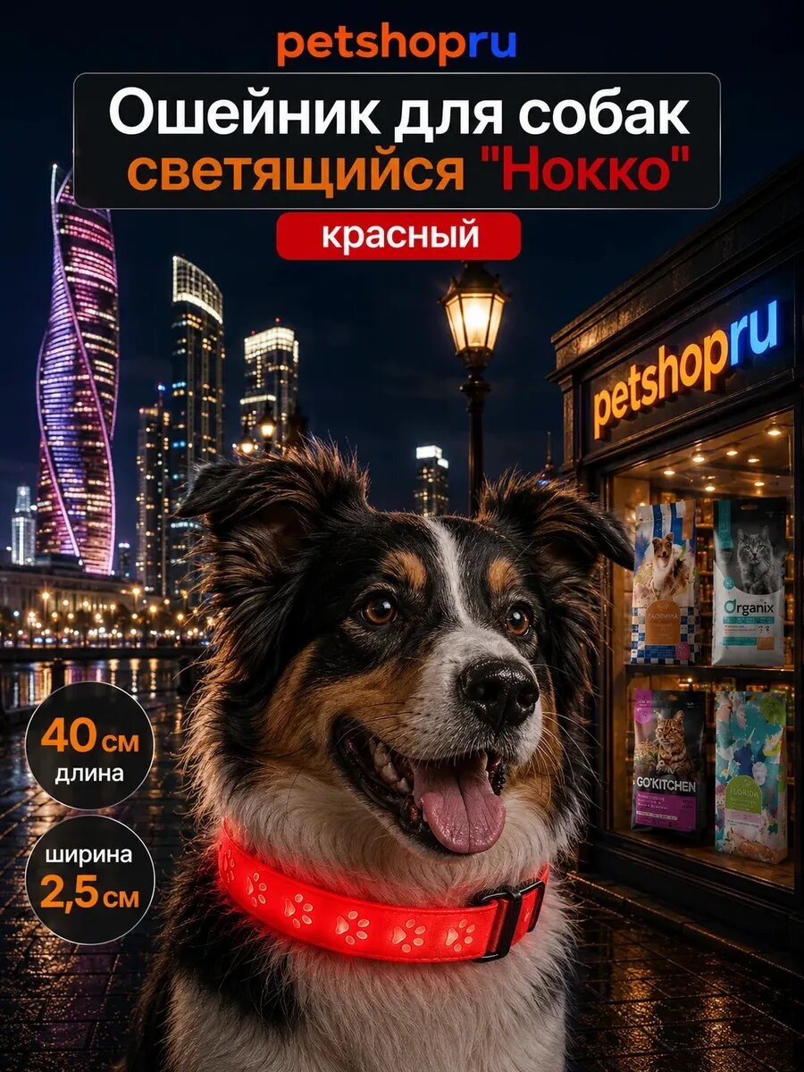 Tappi Светящийся ошейник "Нокко", S