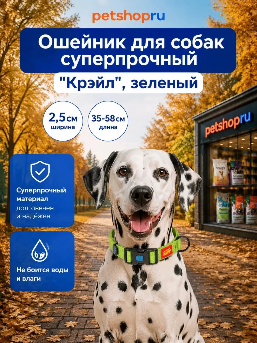 Ошейник "Крэйл", зеленый
