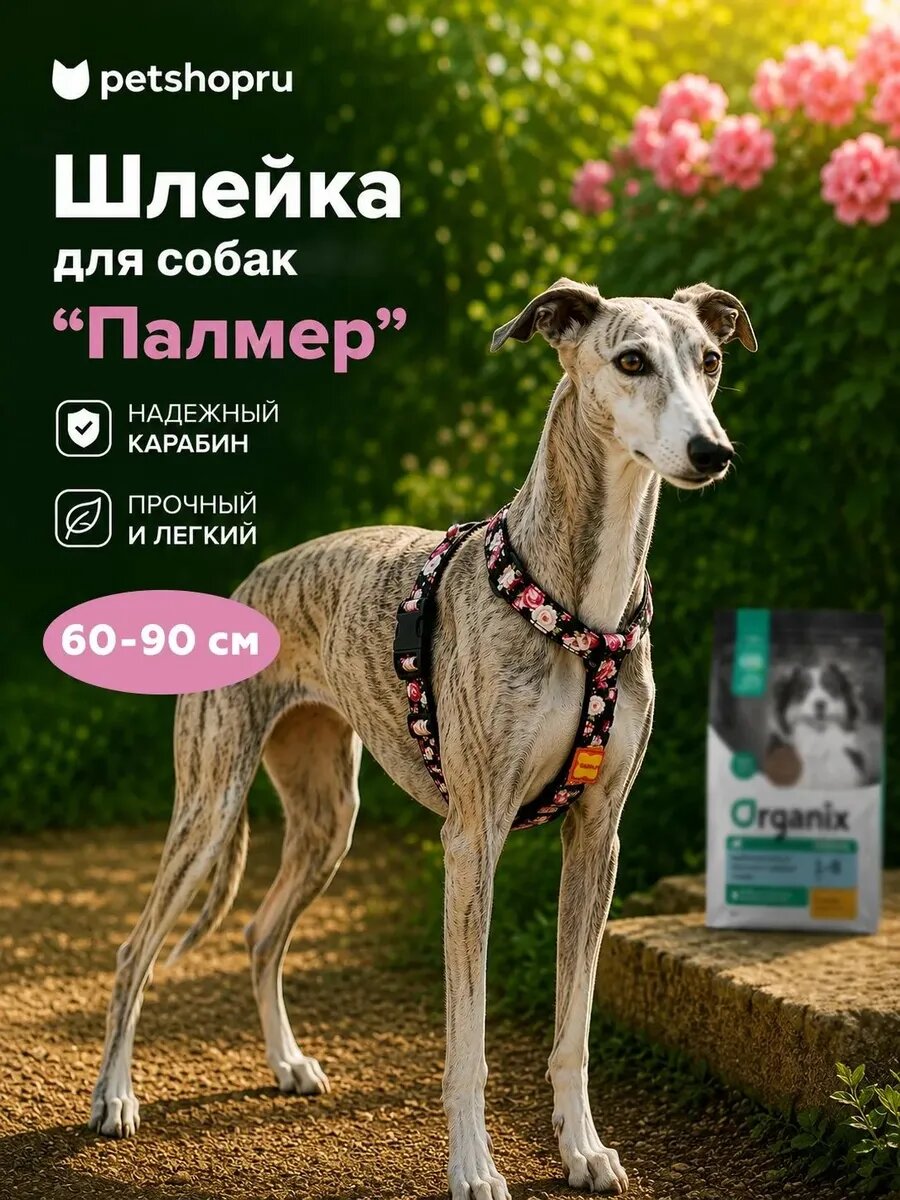 Шлейка "Палмер", с рисунком "Цветы"