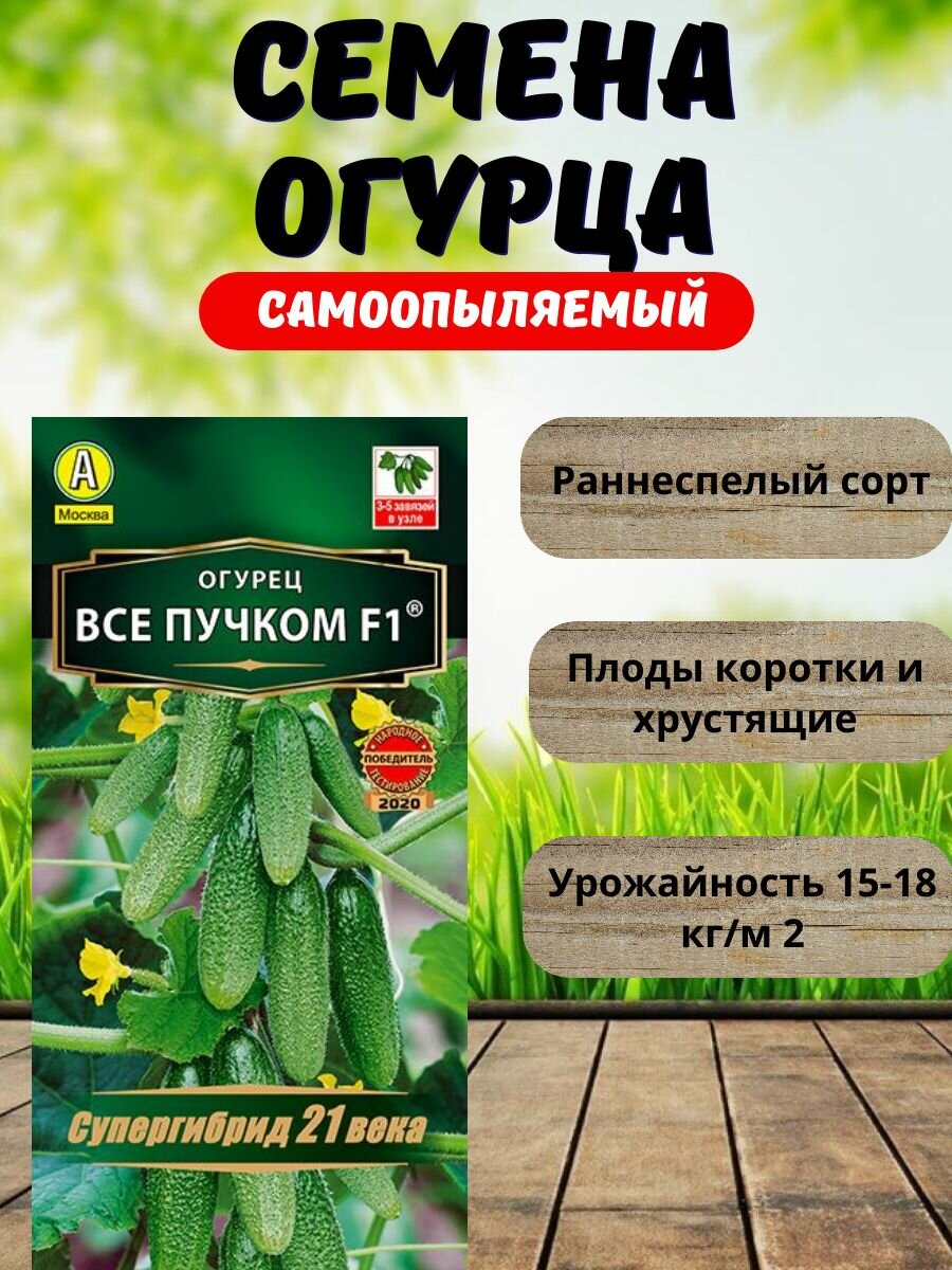 Семена огурцов Все пучком огурец семена огурцов пучковые