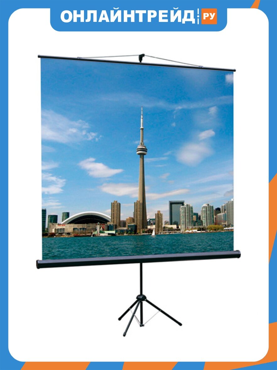 Экран на штативе Lumien Eco View 203x203см