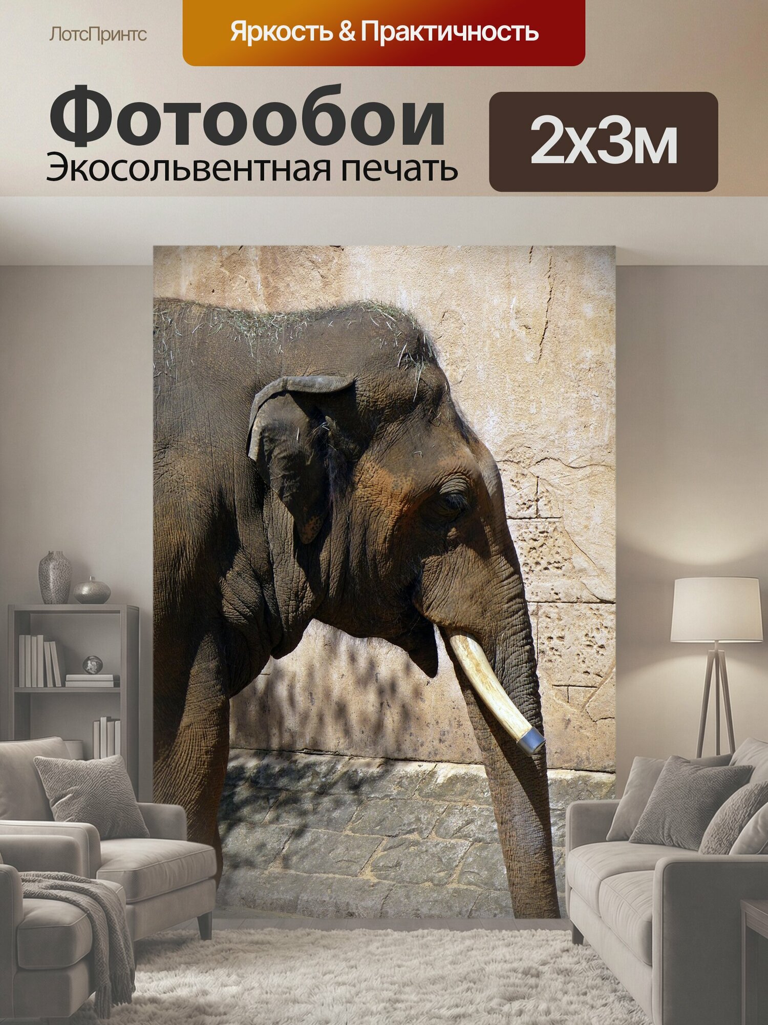 Фотообои "Слон, голова слона, ствол" 200x300 см. экосольвентная печать