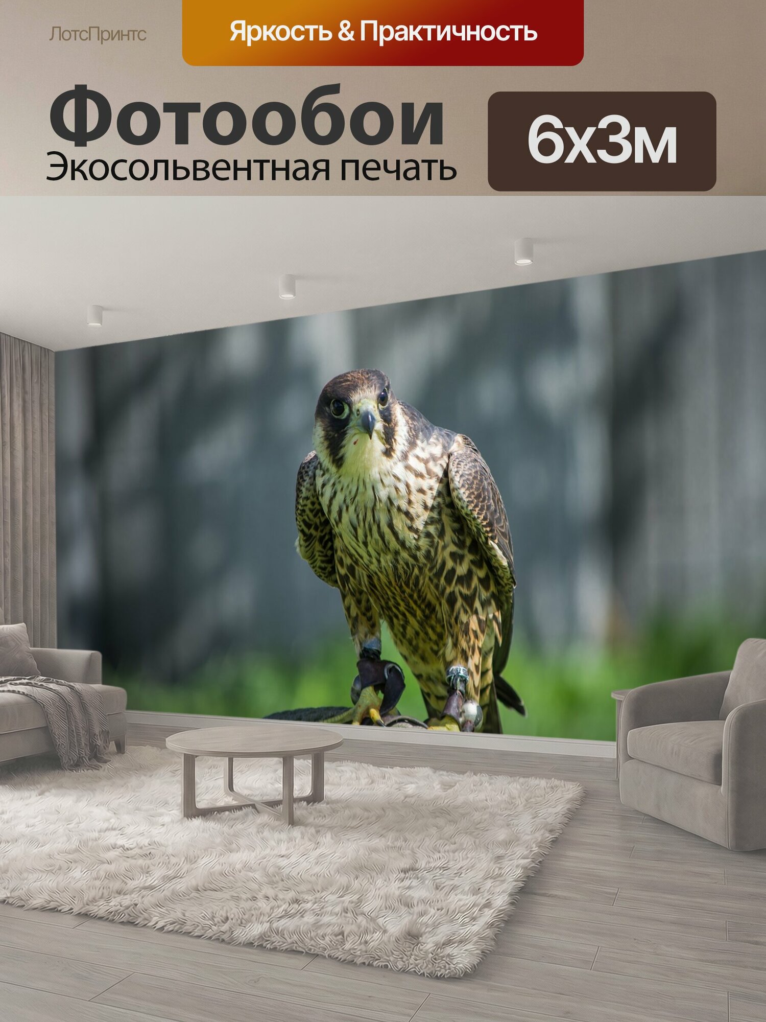 Фотообои "Сокол, соколиная охота, птица" 600x300 см. экосольвентная печать