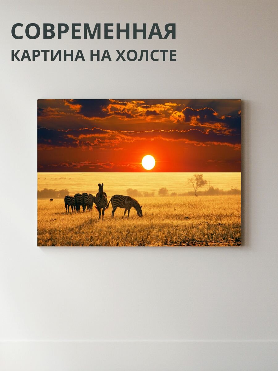Картина на холсте Зебры и африканская саванна 70x50 см