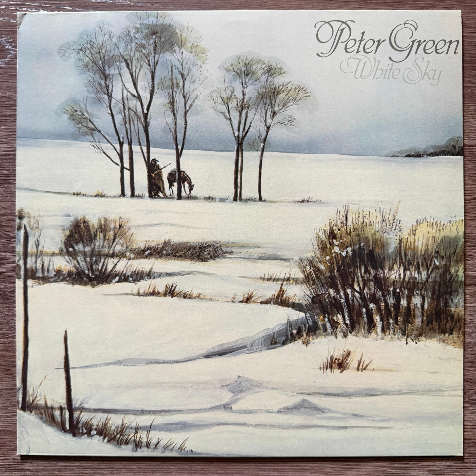 Виниловая пластинка Peter Green White Sky (Финляндия 1982г.)