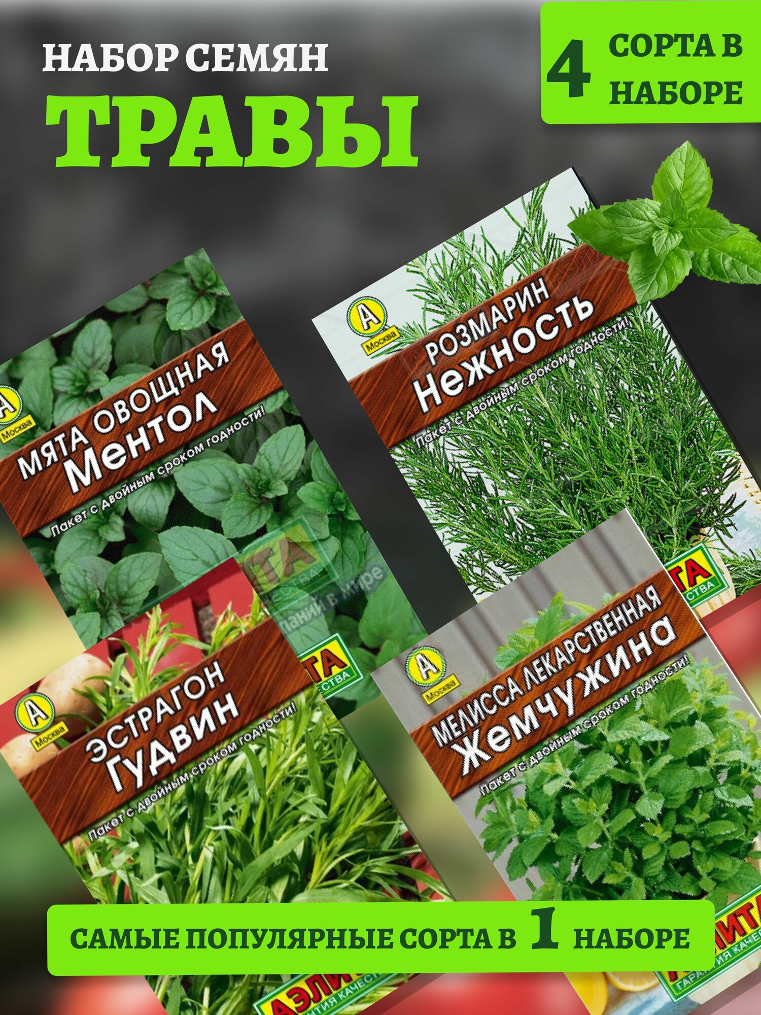 Мелисса, Мята, Розмарин, Тархун/ 4 вида пряных трав, пряные травы сбор трав