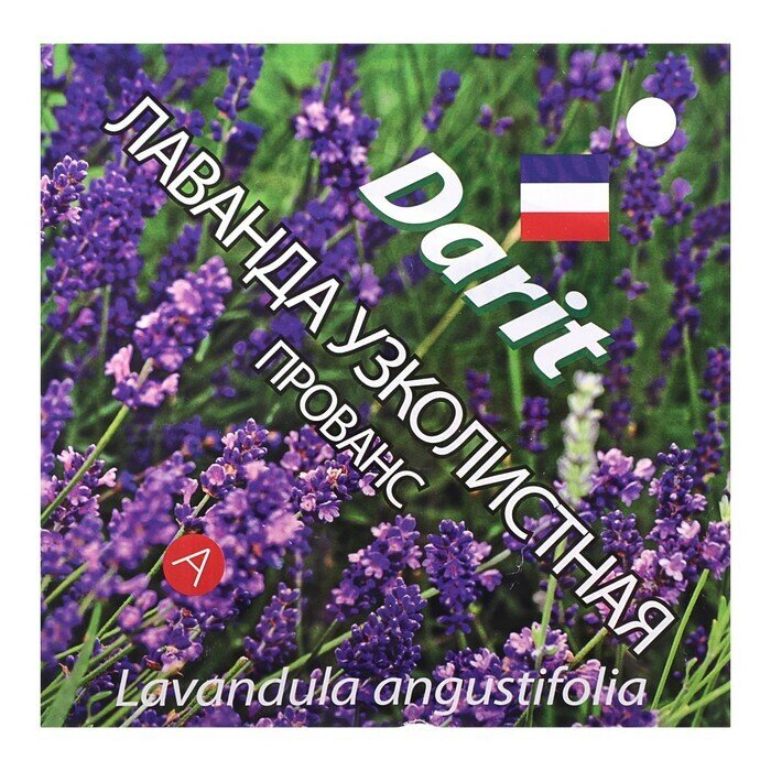 Семена цветов Лаванда узколистная 'Прованс', Мн, DARIT 0,1 г