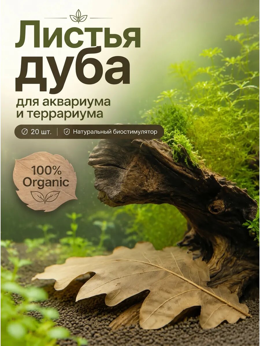 Листья дуба для понижения кислотности аквариума 20 шт