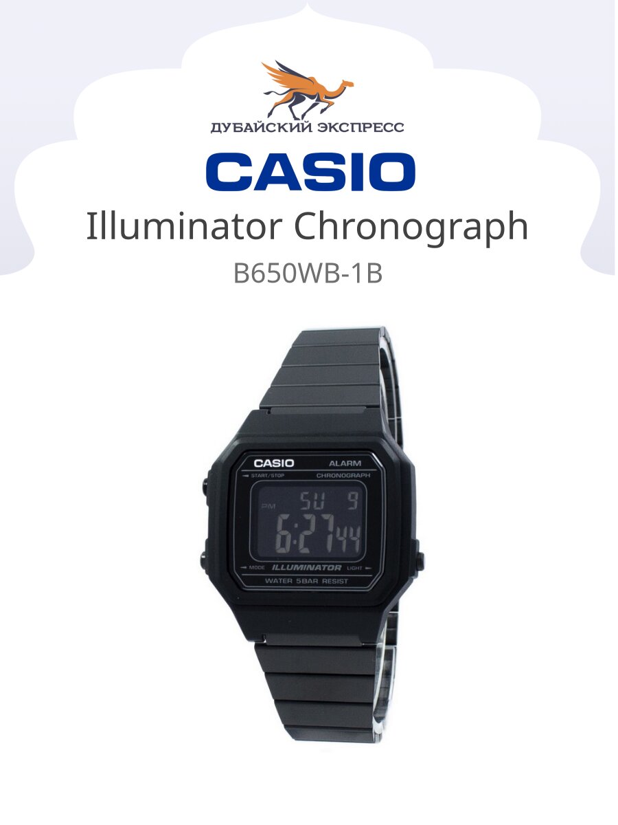  CASIO