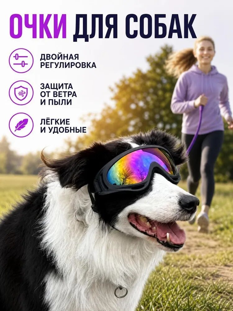 Солнцезащитные очки для домашних собак