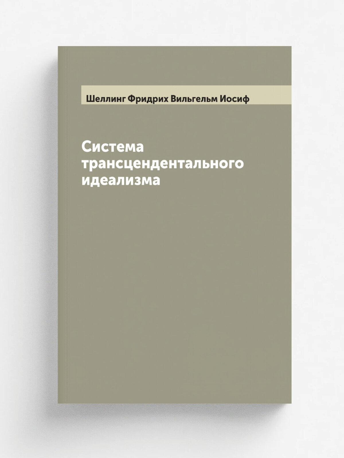 Система трансцендентального идеализма