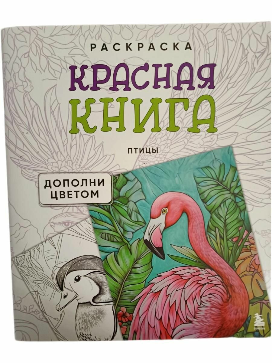 Раскраска. Красная книга. Птицы. Дополни цветом.