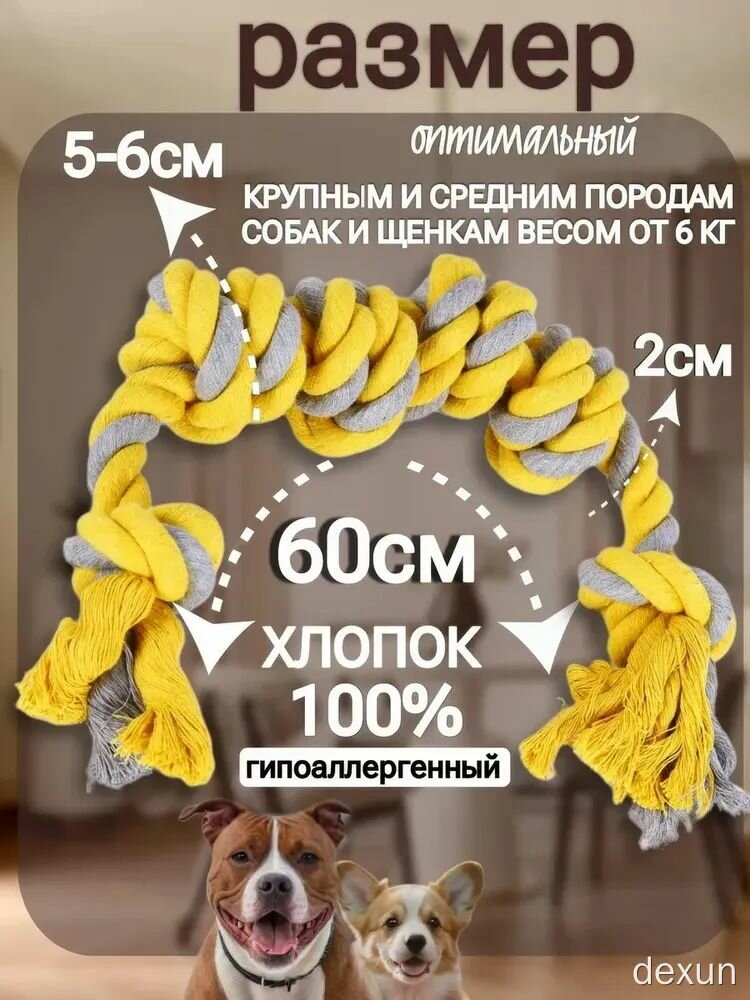 Канат для собак 60 см Golden Heart Winner, 100% хлопок, двойное плетение — фото 1