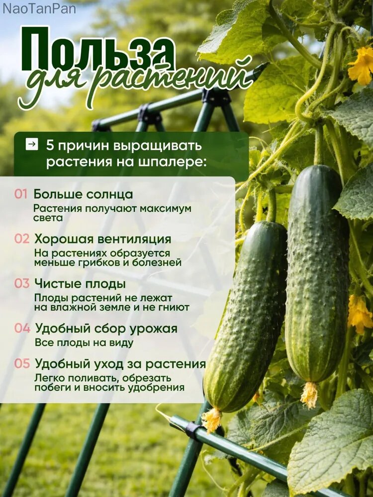 Шпалера,60см,18шт — фото 1