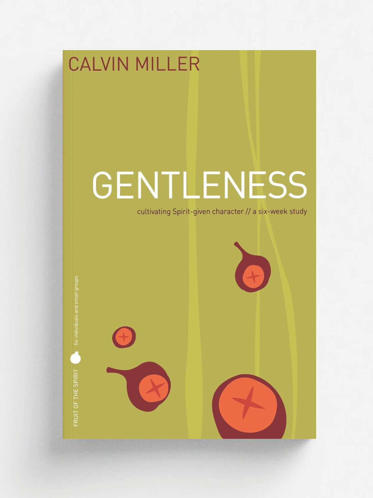 Gentleness. Cultivating Spirit-Given Character // A Six-Week Study