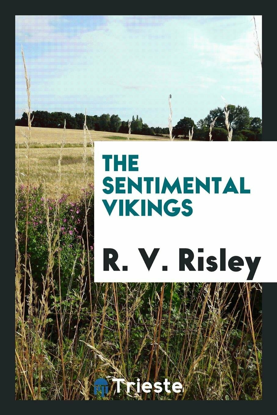 The Sentimental Vikings — фото 1