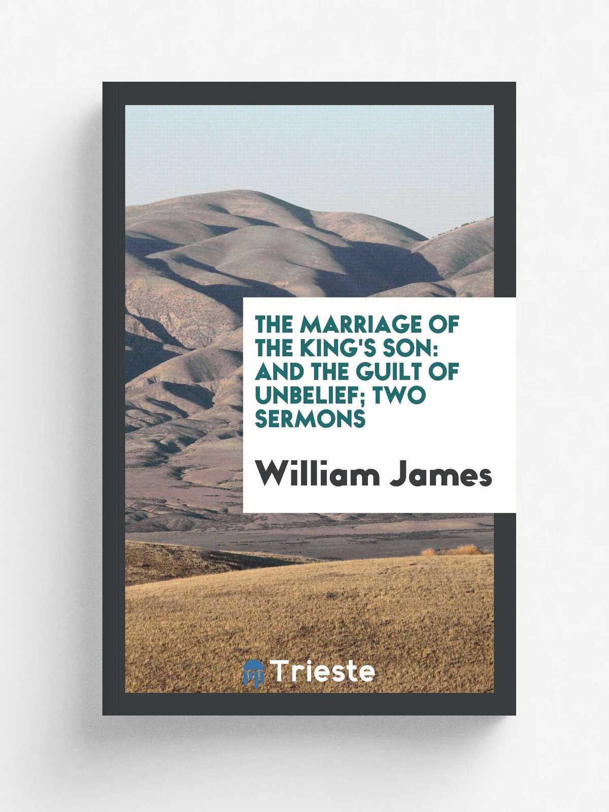The Marriage of the King's Son. And The Guilt of Unbelief; Two Sermons