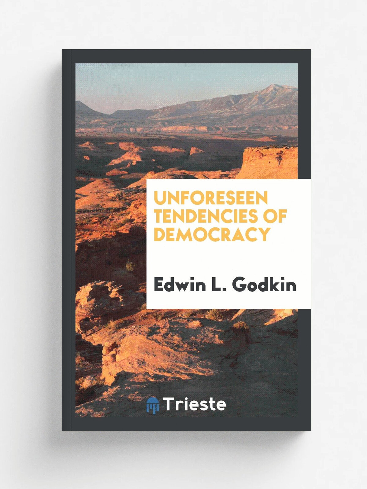Unforeseen tendencies of democracy