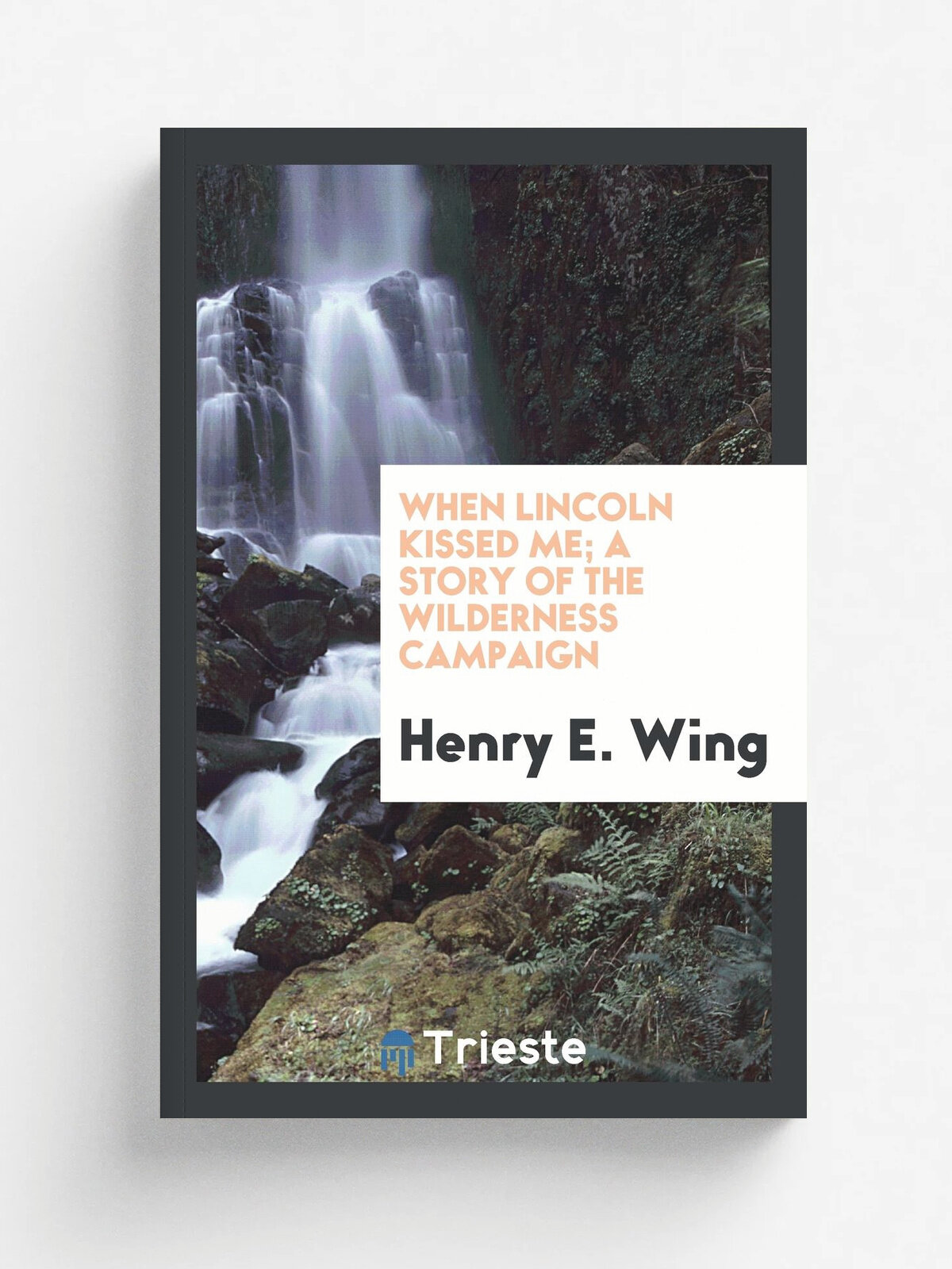 When Lincoln kissed me; a story of the Wilderness campaign