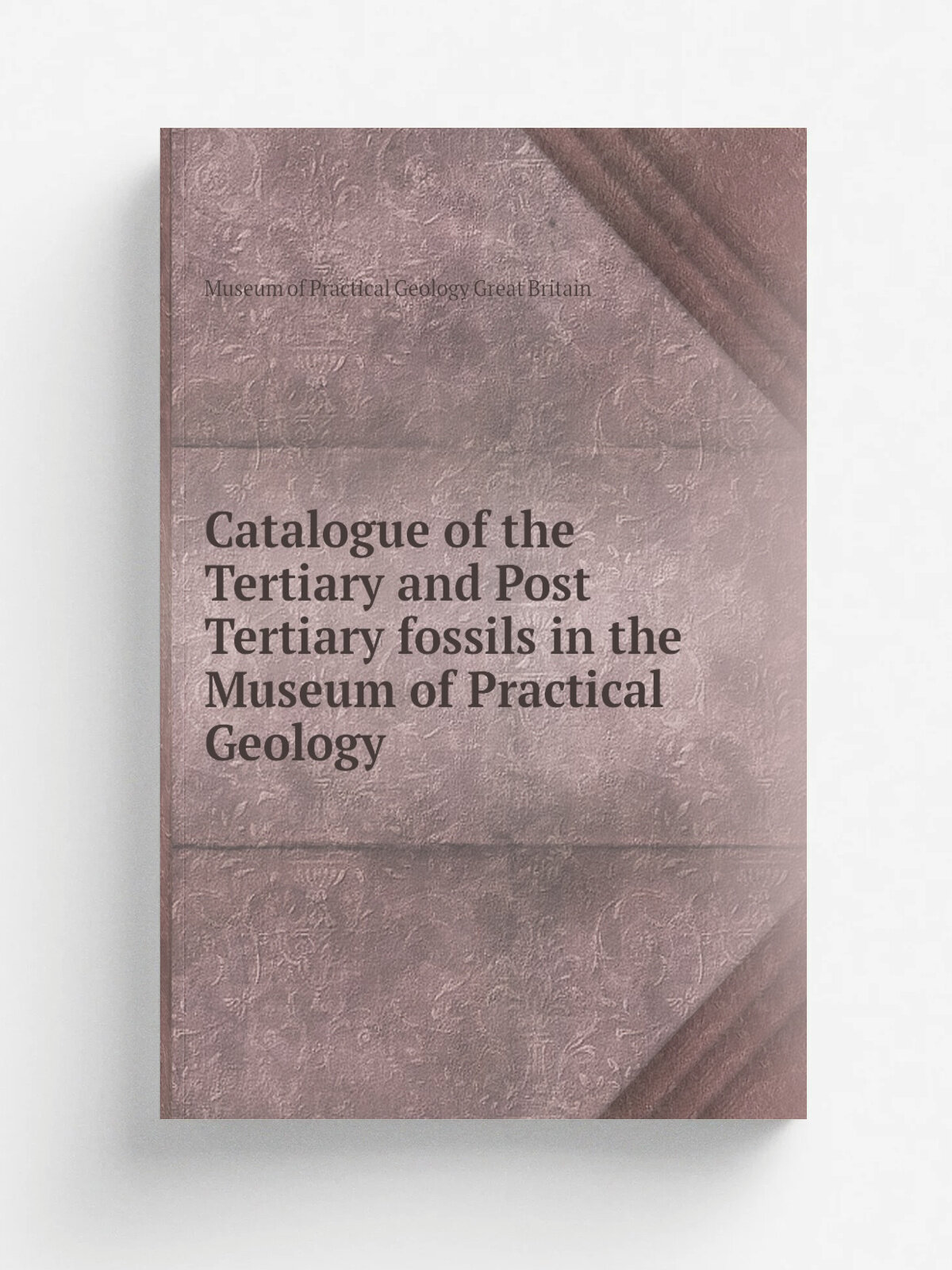 Catalogue of the Tertiary and Post Tertiary fossils in the Museum of Practical Geology