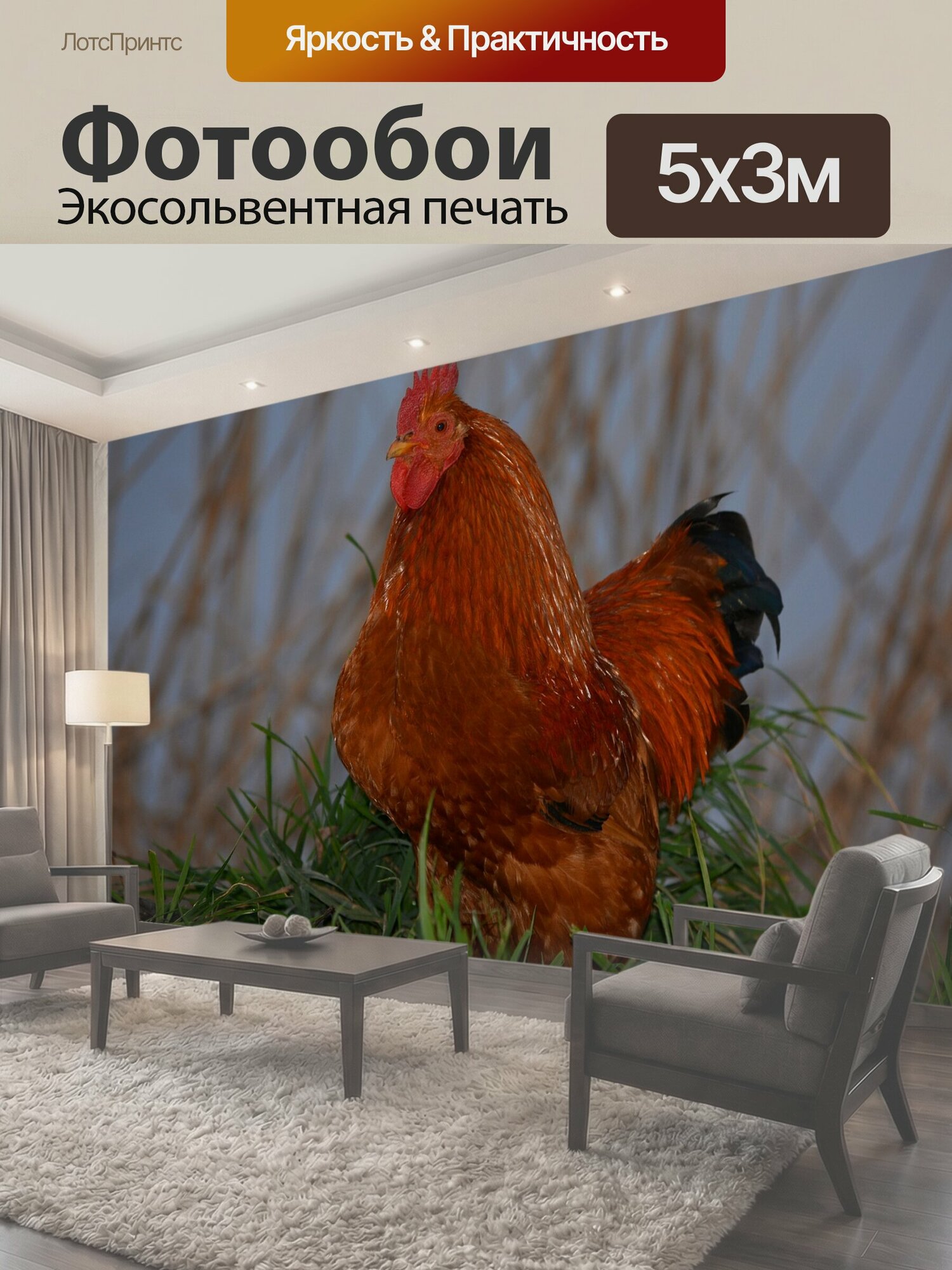 Фотообои "Животное, животные, курица" 500x300 см. экосольвентная печать
