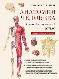 Анатомия человека : большой популярный атлас