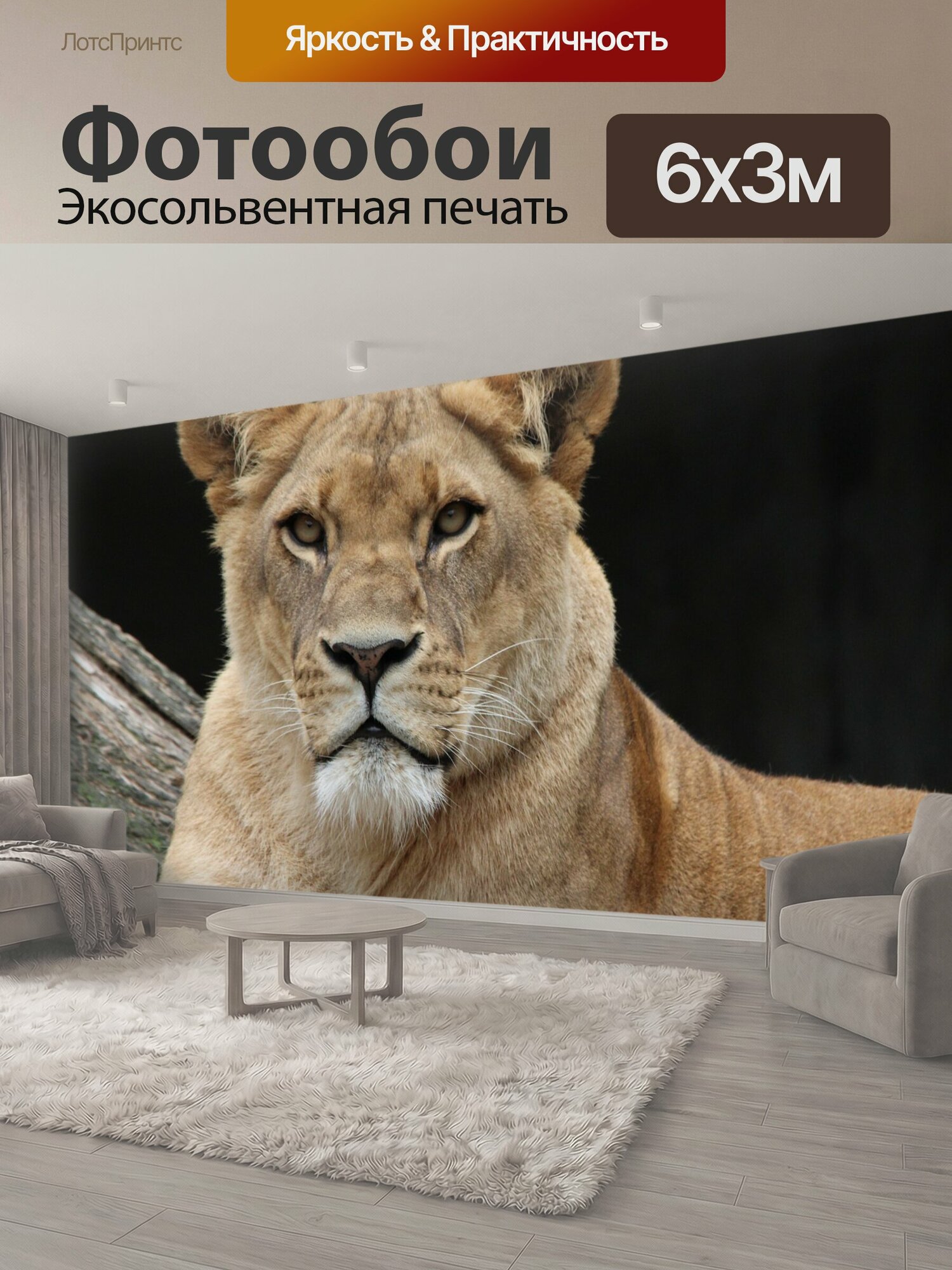 Фотообои "Лев, львица, дикая кошка" 600x300 см. экосольвентная печать