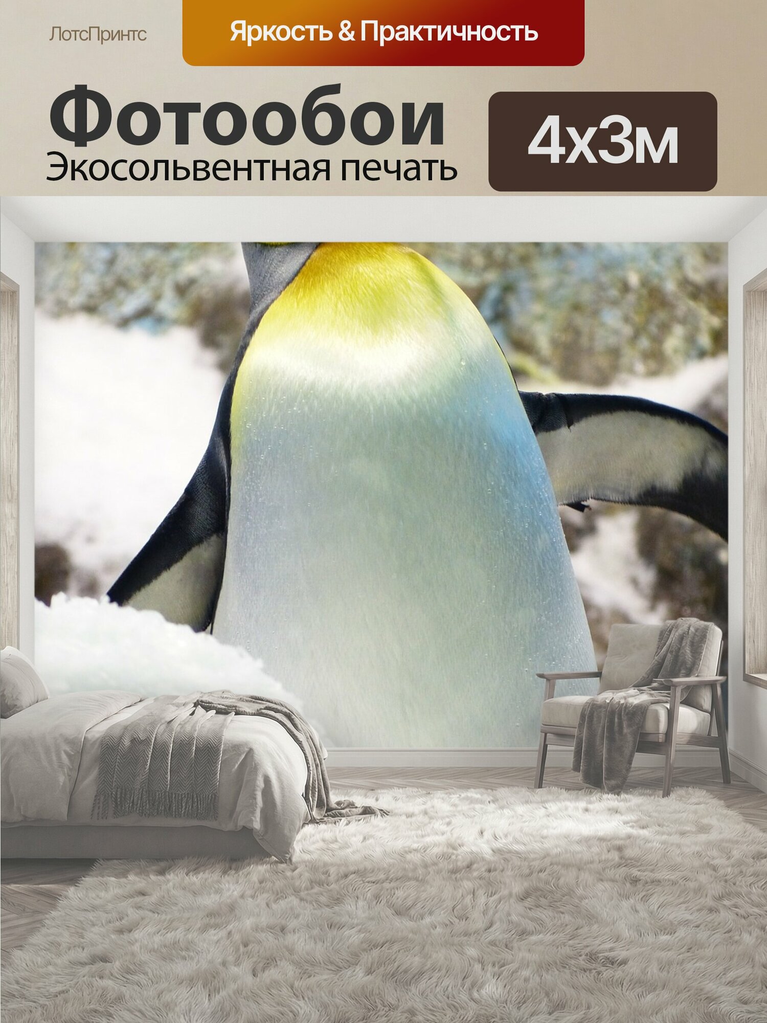 Фотообои "Королевский пингвин, пингвин, aptenodytes patagonicus" 400x300 см. экосольвентная печать