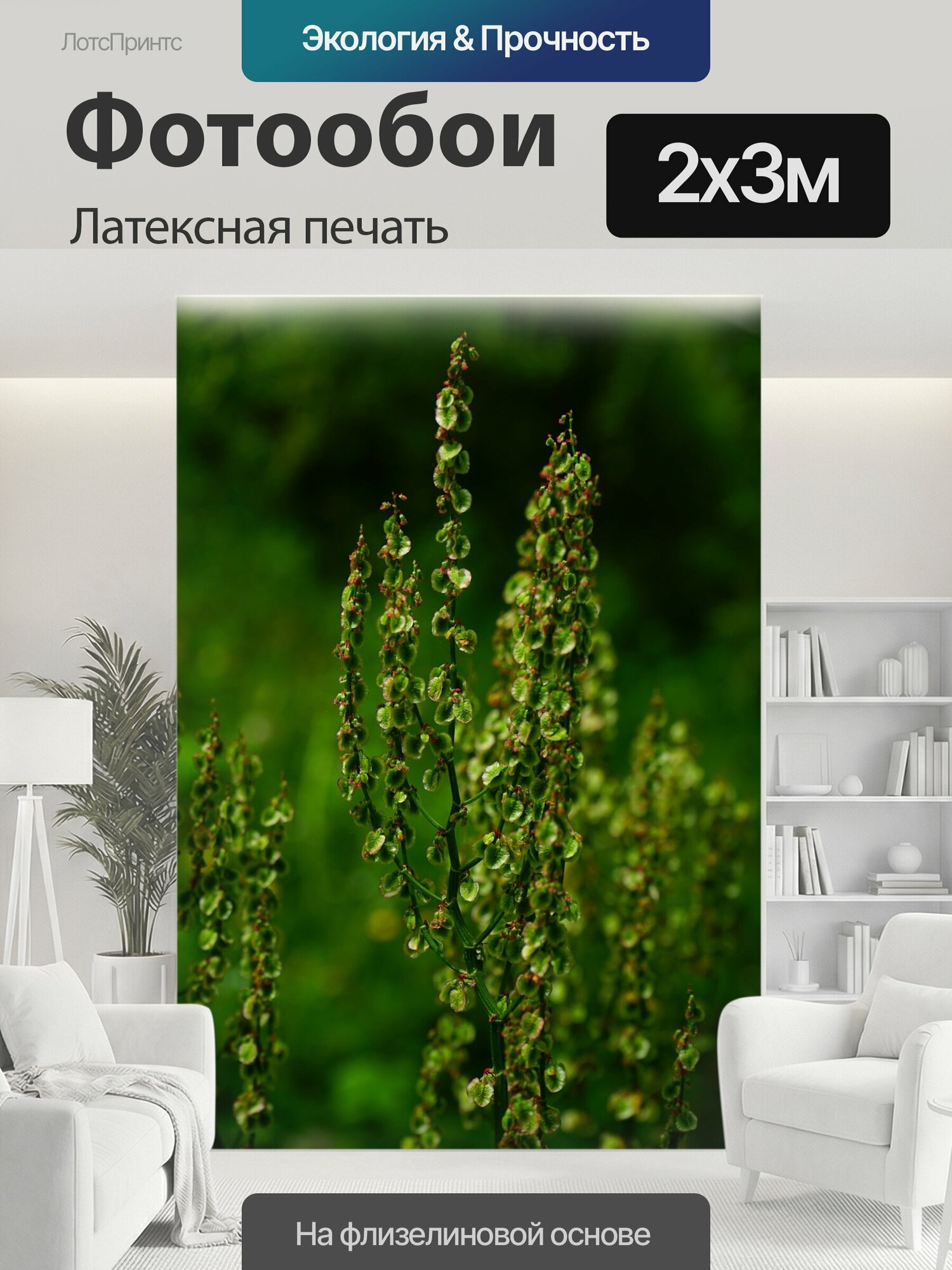 Фотообои моющиеся ударопрочные "Щавель, щавель обыкновенный, соцветие" 200x300 см. латексная печать