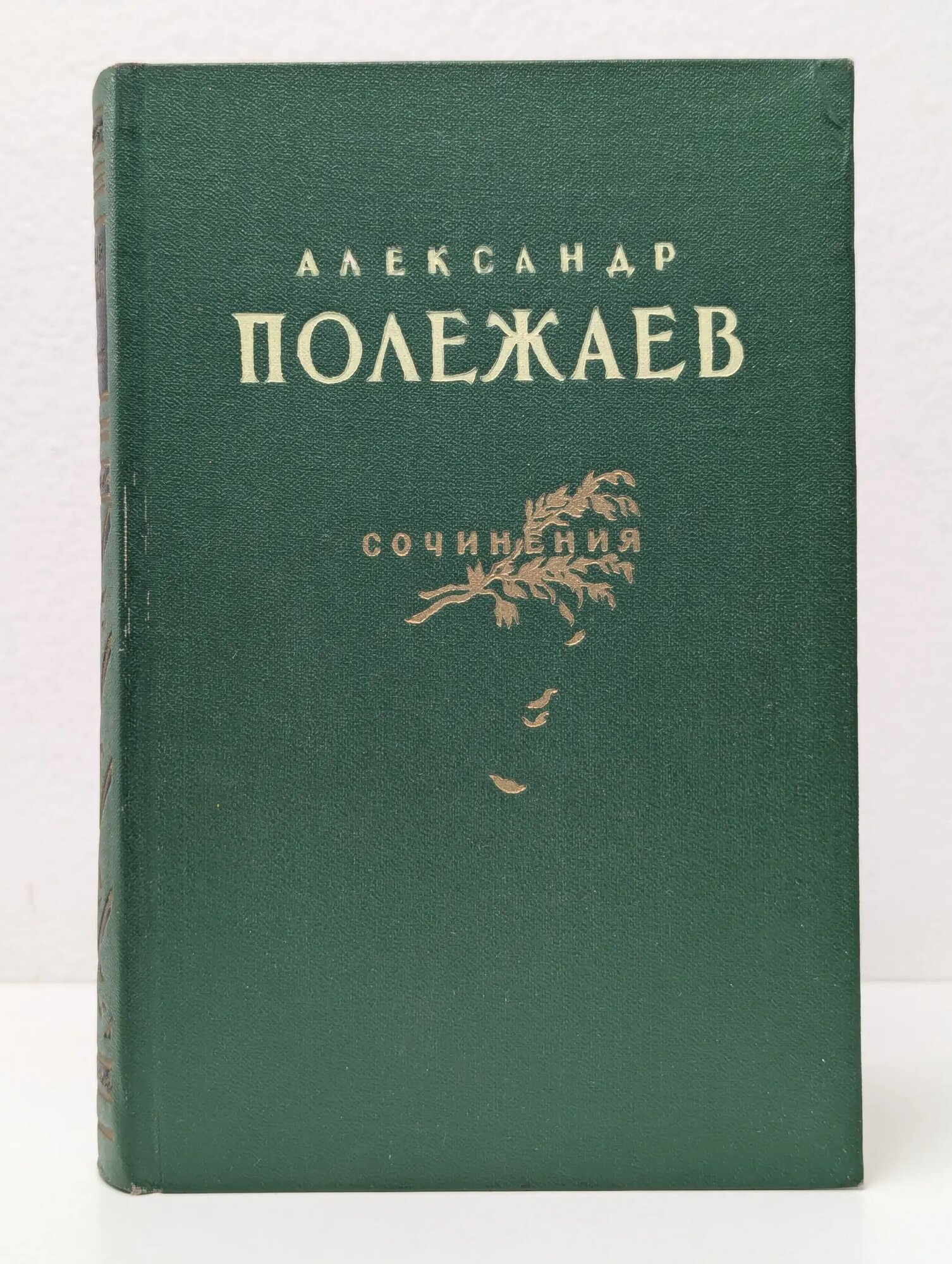 Александр Полежаев. Сочинения Полевой Александр Иванович 1955