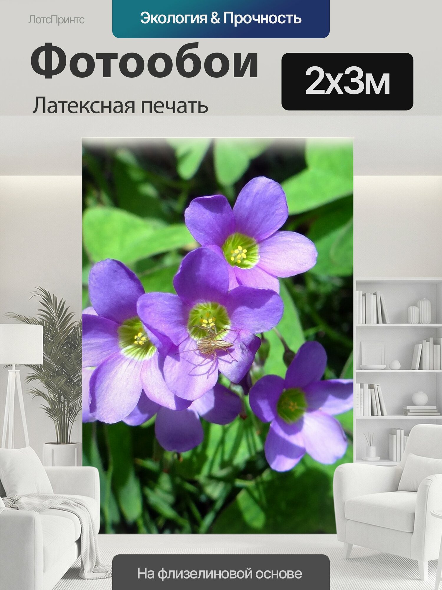 Фотообои моющиеся ударопрочные "Ползучий щавель, цветок, ползучий оксалис" 200x300 см. латексная печать