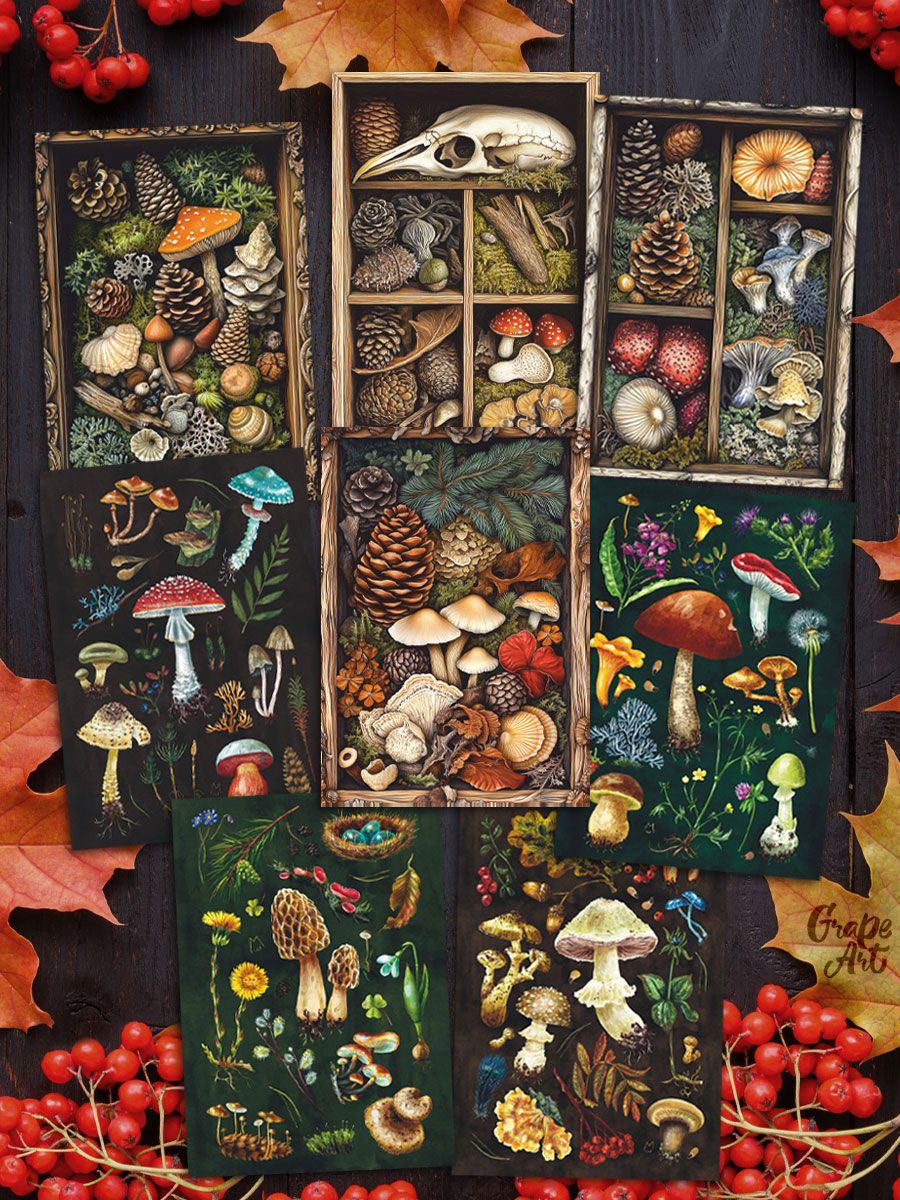 Дары полесья. Набор из 7 почтовых открыток для посткроссинга